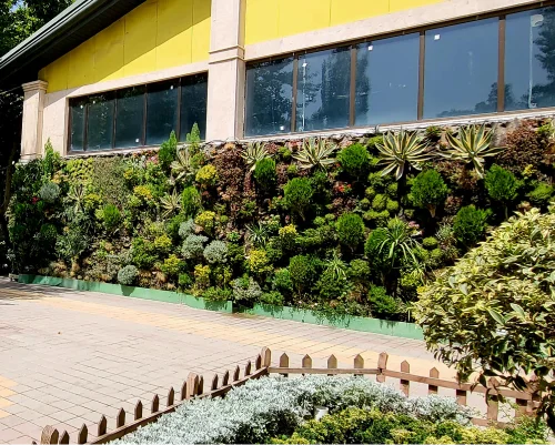 دیوارسبز طبیعی HIGREENWALL